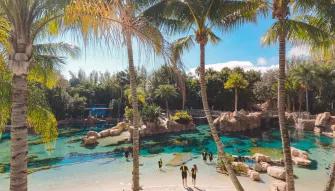 Discovery Cove Tickets | 2024 & 2025 Ticket Deals