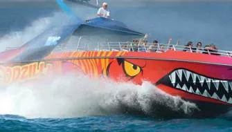 Codzilla Speedboat Thrill Ride | AttractionTickets.com